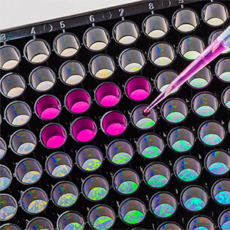 製品案内 - CellArray