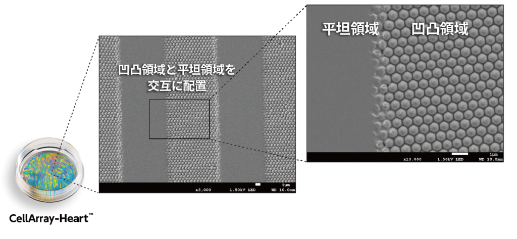 テクノロジー - CellArray