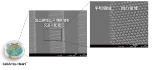 テクノロジー - CellArray
