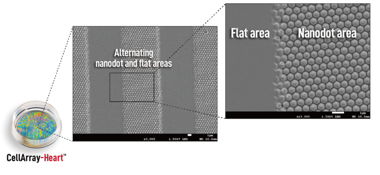 Technology - CellArray