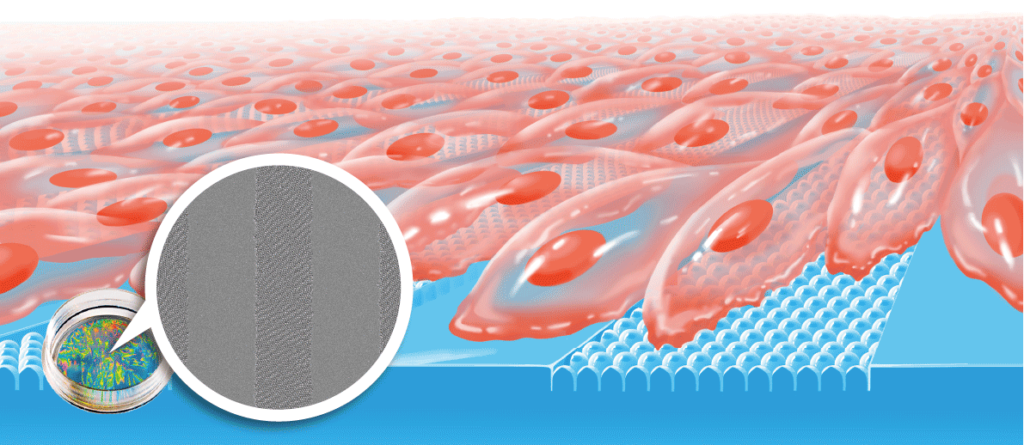CellArray – 播くだけで心筋細胞が配向 ｜Cell Culture Device