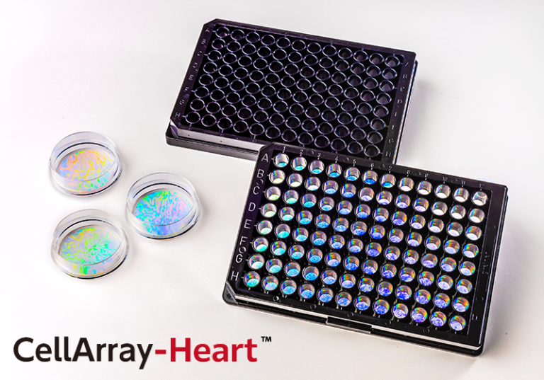 第1回：ヒトiPS細胞から分化誘導された心筋細胞は成熟化が必要。その理由とは？ – CellArray